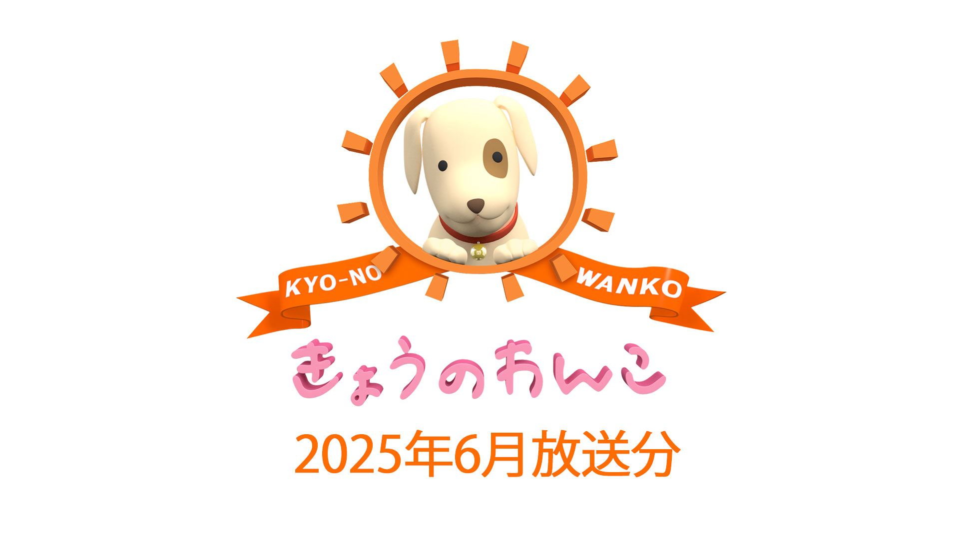 きょうのわんこ